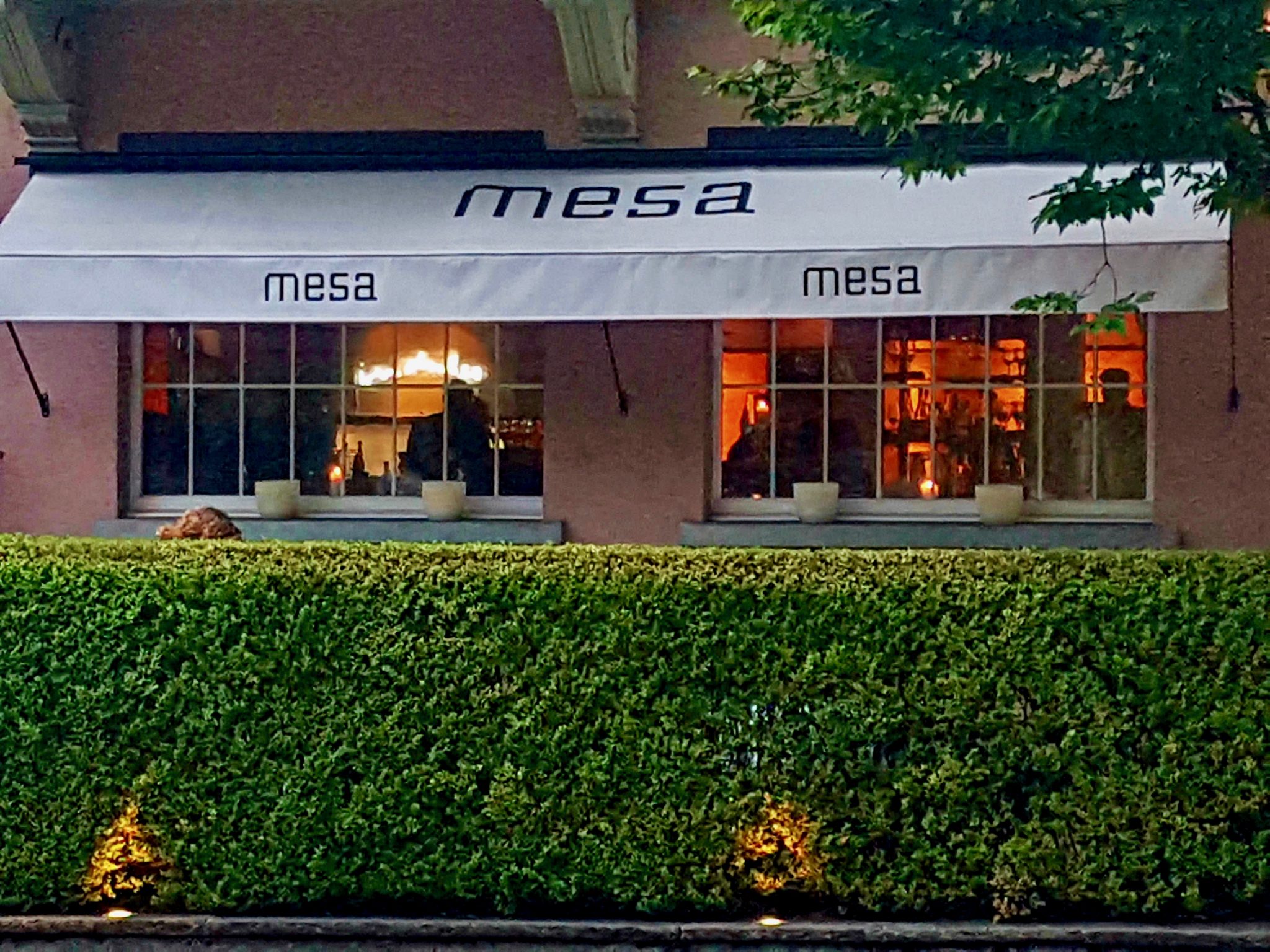 Restaurant Mesa: is it all hype or is it worth The